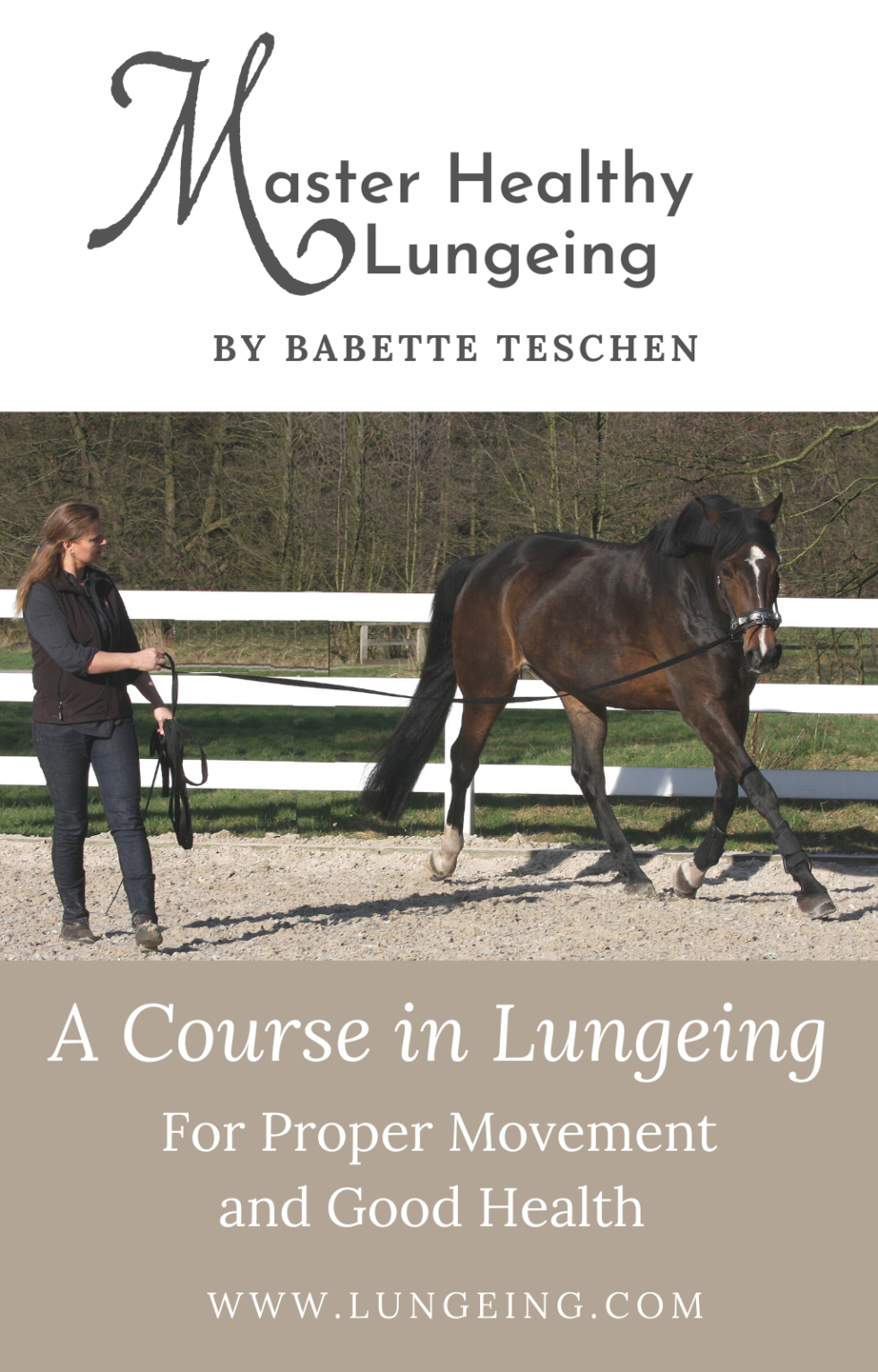 Home - Lungeing